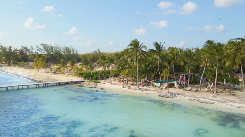 Mayan Monkey Isla Mujeres: el hotel ideal para ir con amigos este verano