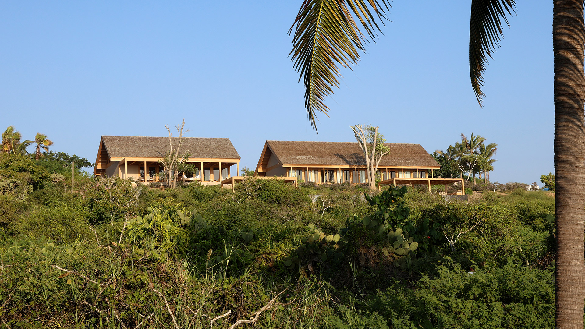 Descubre Xala: el proyecto de turismo regenerativo en Costalagre